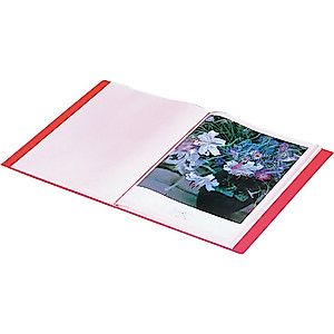 (S-type) King Jim file clear color base B5 20 pieces of blue blue 122C (japan import)