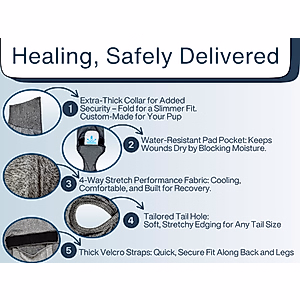 Dog Recovery Suit After Surgery - for Spay Neuter - with Washable Pads - Dog Onesie (Grey Large)