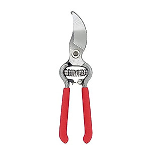 Zenport Pruner Z290 Classic Forged Steel, Red Cushion Grip, 1-Inch Cut, 8-Inch Long