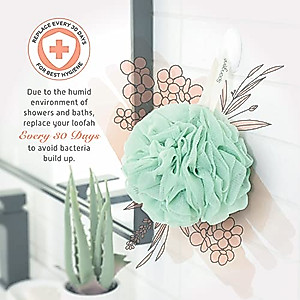 Spongentle Deep Cleansing Loofah Sponge, Pack of 4, Bath and Shower, Exfoliating Body Scrubber, Gorgeous Colors for Women and Men