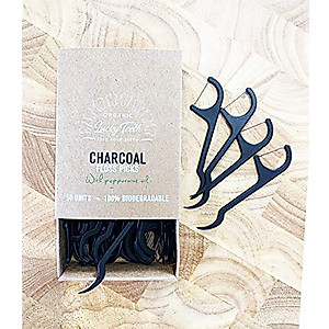 Improved -Biodegradable Activated Charcoal Floss Picks with Organic Peppermint Oil, Plastic Free. Zero Waste - 50 Unit