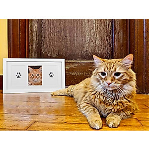 Green Pollywog | Paw Print Frame Kit | Paw Print Picture Frame | Dog Dad Frame | Dog Paw Print Gifts | No Mess Ink Pad for Pets | Pet Memorial Picture Frame | Pawprint Frame | Cat Paw Print Kit