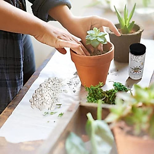 ROOFOO Polished Stones River Pebbles Vase Fillers White Rocks Garden Gravel 1.6LB for Aquarium,Fish Tank,Terrarium, Fairy Gardening,Top Dressing,Bonsai,Zen Garden,Air Plants Succulent,Soil Cover