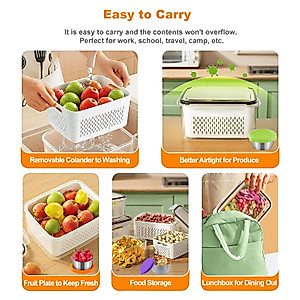 YIENOGO Salad Dressing Containers and Fruit Vegetable Storage Containers for Fridge with Colander and Lid Refrigerator Storage Containers Bins Organizer for Fruit Food Produce, White, YI-01F09