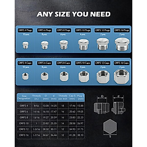 ZELCAN 64 Pc O Ring Face Seal Fitting Kit, Hydraulic Hose Tube and Pipe Fittings, ORFS Cap and Plug Set for Hydraulics, Heavy Duty O Ring Assortment Kit Precision Threaded, ORFS Sizes 4 6 8 10 12 16