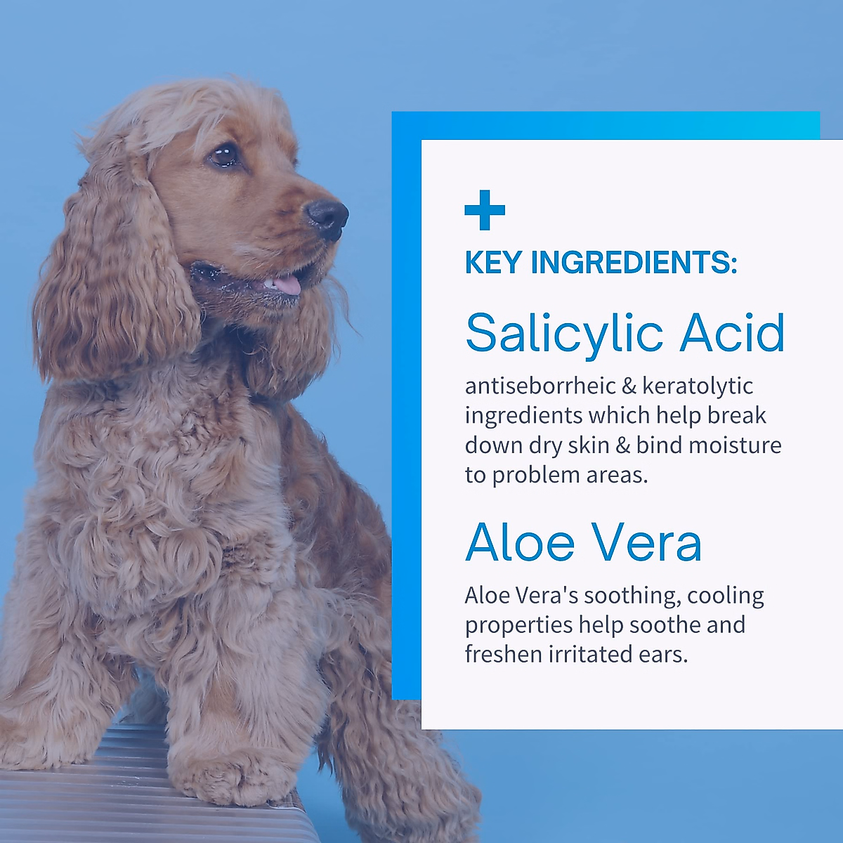 SensoVet 4-in-1 Ear Wipes for Dogs & Cats: Quick-Clean Formula with Aloe Vera – Deodorizes, Acidifies & Dries – Alcohol & Sting-Free – Promotes Healthy Ears