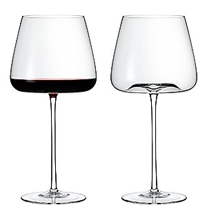 Wine Enthusiast Fleur Pinot Noir Wine Glass – Hand Blown Wide Bowl Glassware with Long Stem for Red Wine Tastings (Set of 2)