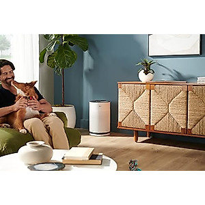 LG PuriCare 360 Air Purifiers for Home, Large and Small Room, Bedroom, Up to 2,059 ft² in 1 Hr with NanoFiber True HEPA Filter, 360 Degrees of Filtration, WiFi, Air Quality Monitor, Low Noise