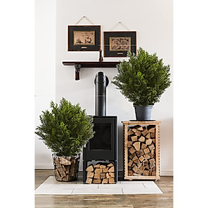 momoplant —24Inch/2 FT Outdoor Artificial Boxwood Garden Torch Shaped Topiary Tree Artificial Topiaries Bushes Potted Fake Plants Outdoor/Indoor Decor（Set of 2）