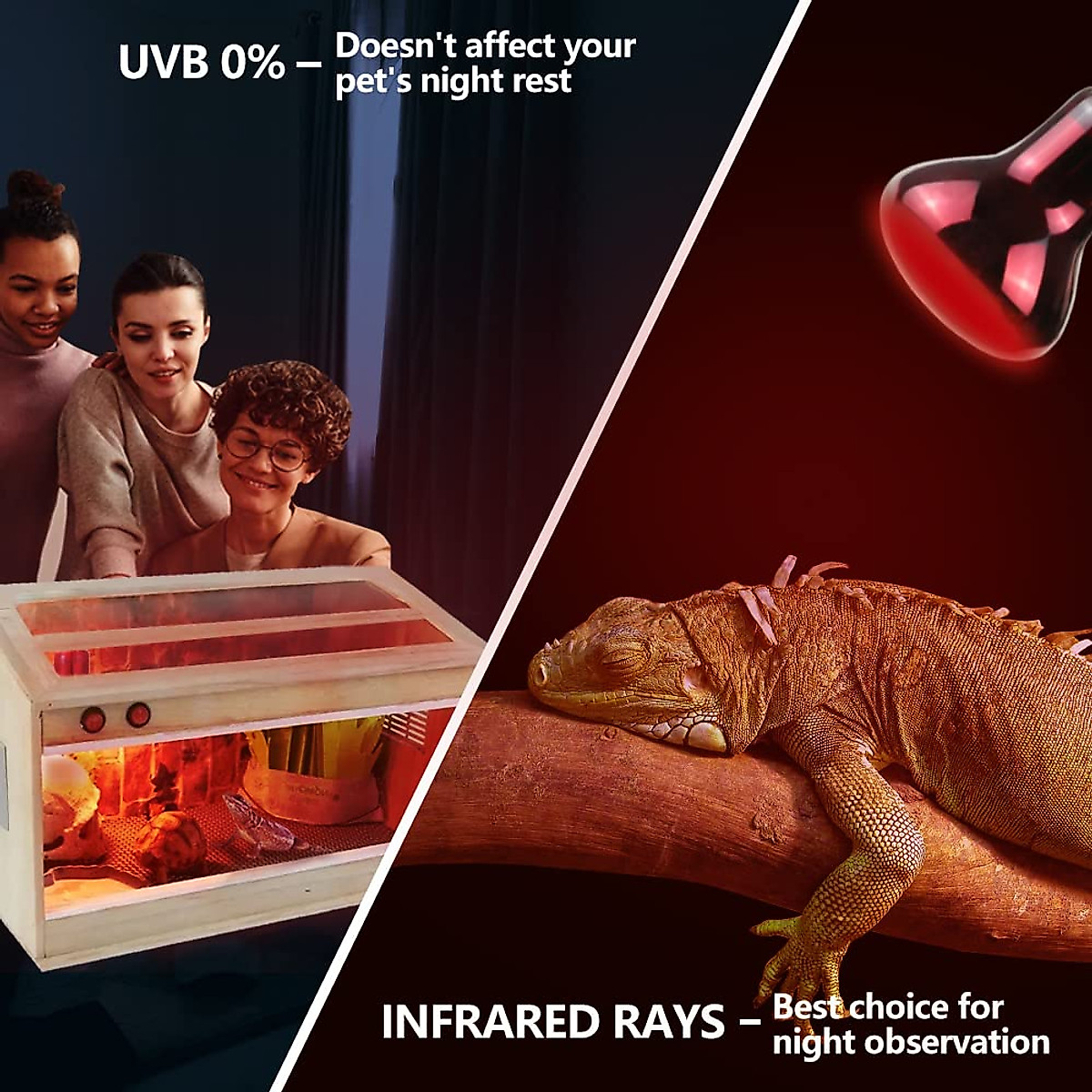 LUCKY HERP Infrared Heat Lamp 100W 2 Pack，Reptile & Amphibian Basking Spot Light Bulbs, Red Heat Lamp Bulbs for Reptiles, Bearded Dragon, Turtle, Lizard, Snake, Chicken