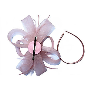 Litter Star Fashion Kentucky Derby Fascinators Hat Pillbox Cocktail Tea Patry Headband Veil Headwaer Hat Wedding for Women (Mesh-Dark Pink)