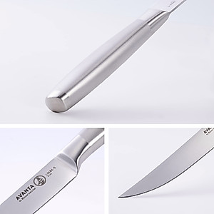 Messermeister Avanta 5” Fine Edge Steak Knife Set - German X50 Stainless Steel - Rust Resistant & Easy to Maintain - Includes 4 Steak Knives