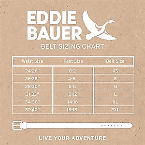 Eddie Bauer Women's Casual Leather Belts, One Size Fits Most, Perforated Pattern-Brown, Large