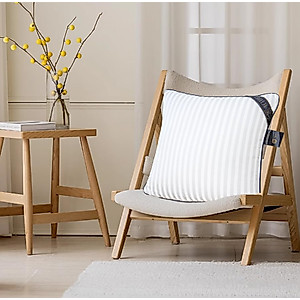 Yettbea Throw Pillows Inserts 18'' x 18'', Set of 2, Decorative for Couch, Sofa or Bed with Premium Down Alternative Filled, White