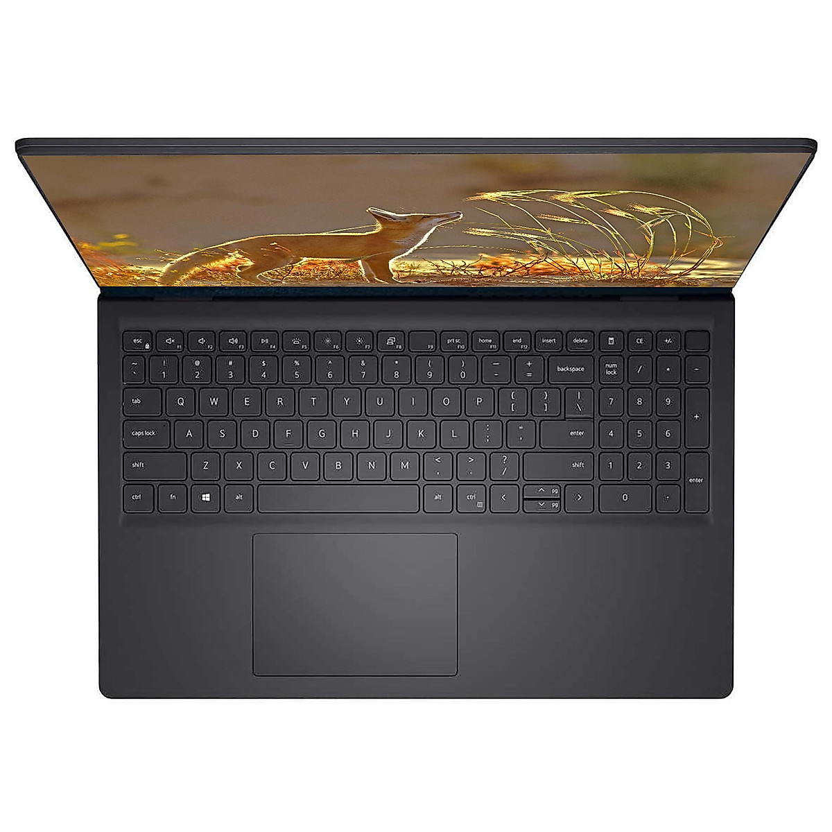 DELL Inspiron Laptops for Student & Business, 15.6'' FHD LED Touchscreen, Intel 13th Gen Core i7-1355U(10-core), Up to 5 GHz, 64GB RAM, 2TB SSD, HDMI, Wi-Fi 6, USB-C, Long Battery Life, Windows 11