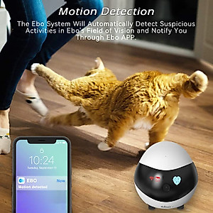 Enabot Ebo SE Movable Smart Pet Dog Camera Robot, Wireless Auto-Cruise Self-charging 1080P HD w/Night Vision 2-Way Audio APP Remote Control Motion Detection IP Cam Home Camera 2.4G/5G Wifi