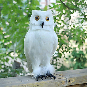 KODORIA Artificial Feathered Owl Realistic Bird Decoration Taxidermy Garden Decor - White 1