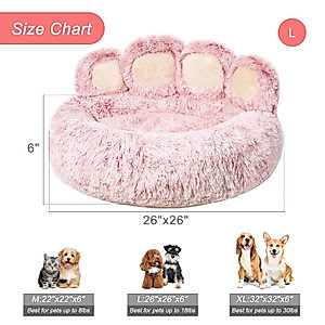 Jiupety Cozy Comfy Small Dog Bed | Upgraded Soothing Paw Donut Bed | L Size 26" × 26" × 8" | Creative Bear Paws Design