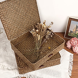 Hipiwe Woven Wicker Basket Bins with Lid - Set of 2 FLat Seagrass Storage Baskets Boxes Rectangular Shelf Baskets Home Organizer Bin for Shelf Organizing (Large Size, Coffee)