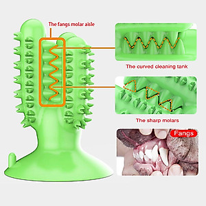 CEESC Dog Toothbrush Chew Toys Dog Teeth Cleaning Stick,Puppy Brushing Dental Oral Care for Small Medium Large Dogs (Green)