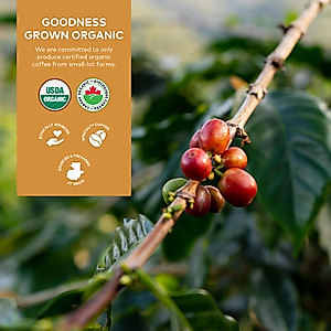 GRANA Nespresso Capsules, USDA Organic Coffee Caps Compatible with Nespresso Original Line Machines, 100% Arabica Single Source Clean Coffee, Compostable & Biodegradable Pods, 60 count, Variety Pack