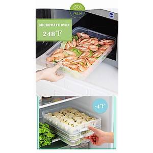 TIAN CHEN Food Refrigerator Storage Containers with 2 Lids, 4 Layer, Stackable Handheld Carrier for Snack, Cookie, Meat, Bacon, Charcuterie, BPA Free (Transparent 4 tier)