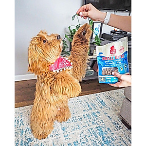 PLATO Small Bites Training Dog Treat Variety Pack, (1) 6oz Bag of Each: Salmon, Organic Chicken, Duck, Lamb, 1.5lb Total