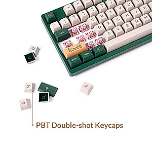 Akko 3098S 1800 Compact Hot Swappable Mechanical Keyboard, 98-Key Wired Gaming Keyboard with PBT Double-Shot Keycaps and Tactile Switches for Mac & Win (Jelly Purple)