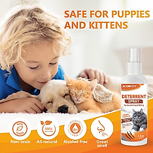 Cat Repellent Indoor, Cat Spray Deterrent, All Natural Bitter Dog Repellent Spray,Natural Effective Prevent Scratching Stay Away from Restricted Areas for Pet Behavior Training Indoor and Outdoor Use