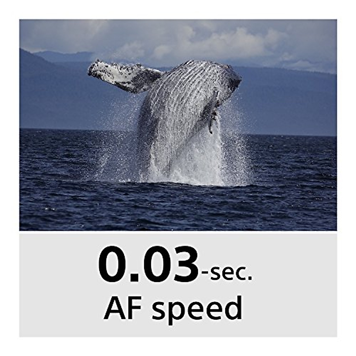 Sony Cyber?Shot RX10 IV with 0.03 Second Auto-Focus & 25x Optical Zoom (DSC-RX10M4) (Renewed)