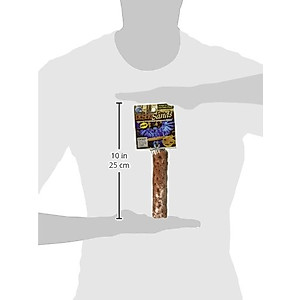 Polly's Desert Sands Bird Perch, Small