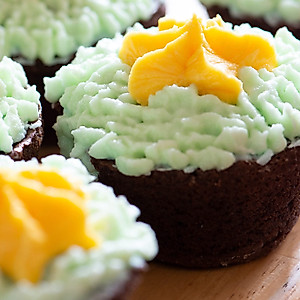 Kazozobi 2 Pack Mini Muffin Cheesecake Pan with Removable Bottom, 12 Cavity Nonstick Cupcake Pan