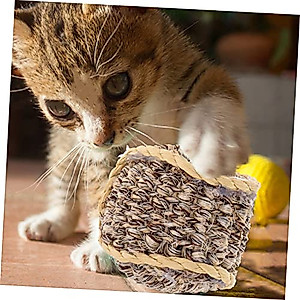 GARVALON 3pcs Cat Claw Ball Cats Self Play Toys Cat Scratch Ball Hamster Molar Toy Interactive Cat Rolling Toy Cat Teether Toy Toys Pet Toy Cat Scratching Toy Ball Sisal Bite