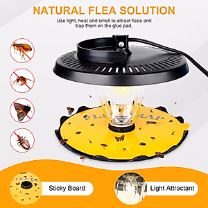 Flea Trap, Sticky Flea Traps for Inside Your Home, Odorless Non-Toxic Natural Flea Killer Trap with 10 Sticky Discs & 4 Bulbs, Pest Control for Home, Safe for Children Pet Dog Cat(2 Pack Black)