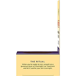 Burt's Bees Lip Care Easter Basket Stuffers, Moisturizing Overnight Intensive Treatment Spring Gift, for All Day Hydration, Ultra Conditioning Moisturizer, 0.25 Ounce (Packaging May Vary)