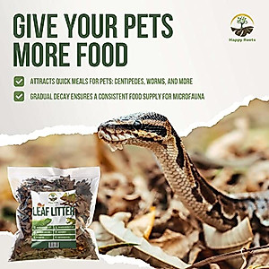 Organic Oak Leaf Litter Hand Collected and Packaged. 4 Quarts.