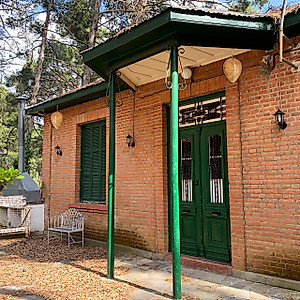 Wasp Nest Decoy - 2 Pack - Hanging Fake Wasp Nest