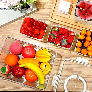 Dualshine Airtight Fruit Storage Containers for Fridge with lid and Handle,4 Removable Colanders,Food Storage Container for Fruit, Vegetables,Fresh Produce Saver,Great Refrigerator Organizer Bins