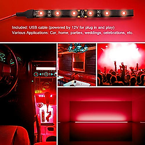 Pilot CZ-177R 12V Red Interior/Exterior LED Flexi Light Strips -12 Inches / 2 Strips- Cut to Fit - Multi-Purpose Automotive or Home Use, Water Resistant with Easy-Peel Tape Included
