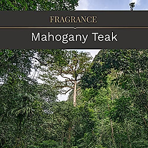 CLCo. By Candle-Lite Scented Mahogany Teak Single-Wick Jar Candle, 14 oz, Off White