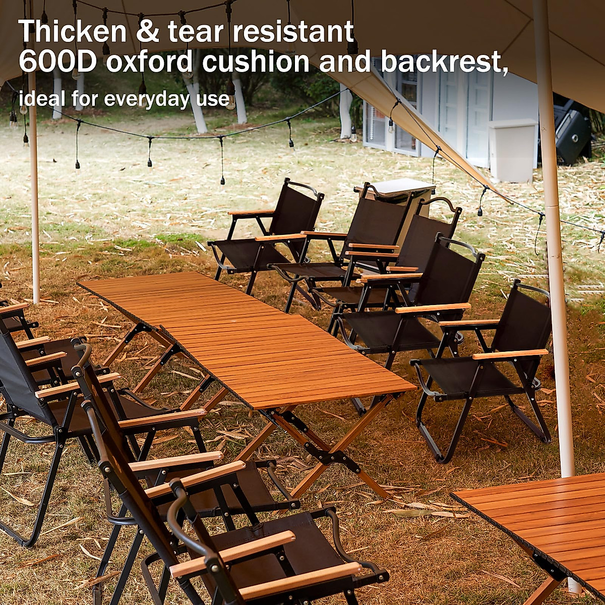 Lallisa 2 Pack Folding Camping Chairs, Portable Lightweight Low Lawn Chair with Thicken 600D Oxford Beach Camp Park Chairs Supports 253lbs Carbon Steel Armchairs for Hiking Fishing Picnic Concerts