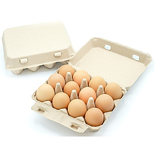 Bulk Classic 3x4 Style Egg Cartons | Holds 12 Large Eggs | Eco-Friendly Material (70 pack)