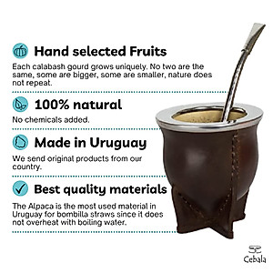 Cebala | Premium yerba mate cup (Mate gourd set) - Uruguayan mate - Includes alpaca bombilla straw (nickel silver) and leather mate cup (camionero mate) (Dark brown)