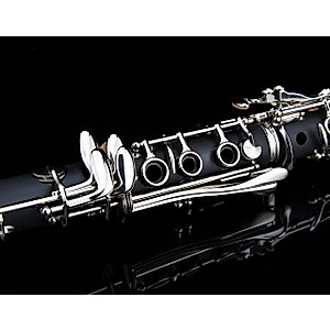 Glory GLY-PBK Professional Ebonite Bb Clarinet with 10 Reeds, Stand, Hard Case, Cleaning Cloth, Cork Grease, Mouthpiece Brush and Pad Brush, Black