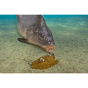 4pcs Carp Spring Fishing Bait Feeder 0.53oz/15g Fishing Rig Hook #6 Coarse Fishing Tackle