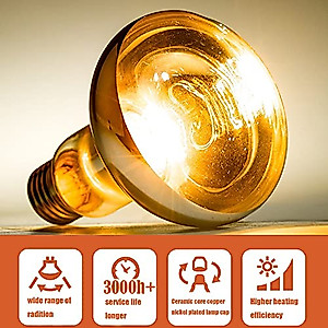 EBENACEAE 250 Watt Chicken Coop Heater BR40 Warm Lamp Heater E26 for Poultry and Livestock Household Planting Animal Husbandry Gathering Warmth Lamp