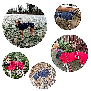 Greyhound Fleece Jumper,Greyhound Dog Winter Coat,Whippet Winter Coat Waterproof Windproof Outdoor Dog Apparel for Whippet Lurcher Salukis-Blue-3XL