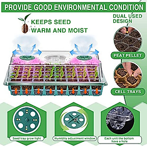 YAUNGEL Seed Starter Tray with Grow Light, Seed Starter Kit with Timing Controller Adjustable Brightness,80 Cells Seed Starter Tray for Indoor Planting with Humidity Domes Heightened Lids 2 Pack