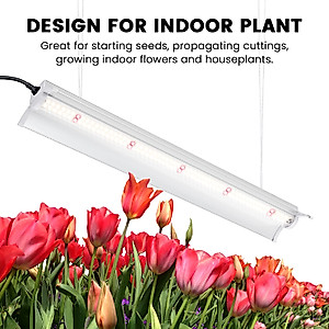 iPower 2 Feet LED Grow Light Stand Natural White Full Spectrum for Indoor Plant Starting Seeds and Propagating Cuttings, Height Adjustable