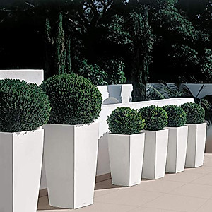 Lechuza Cubico Premium 30 - All-In-One, Scarlet